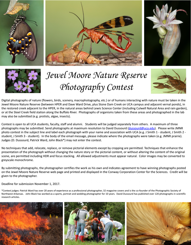 UCA’s Jewel Moore Nature Reserve In Full Bloom