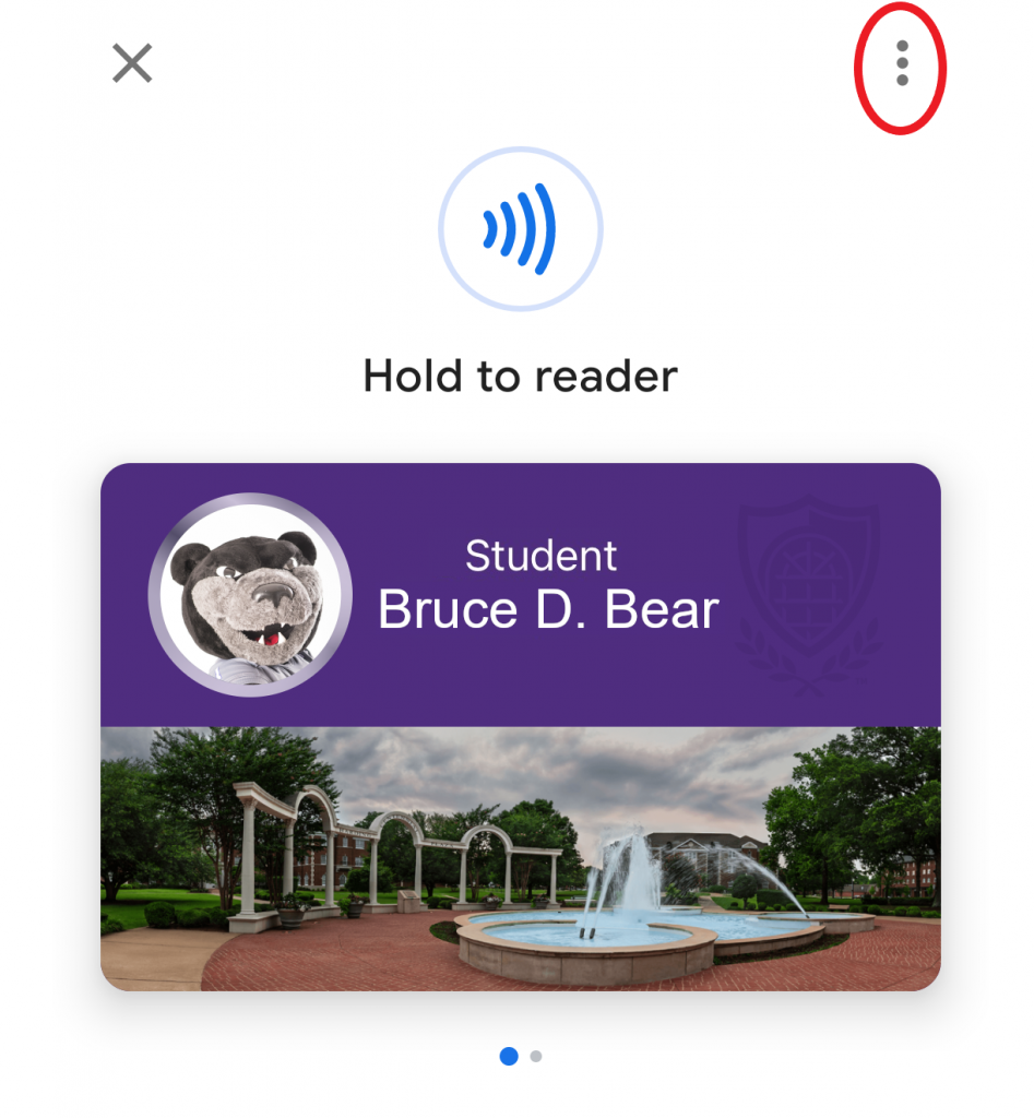 BearCard Mobile — Bear Card