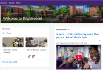 Brightspace – Learning Management System Review